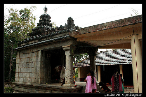 Trip to Mandagadde, Kuppalli, Mattur, Sakrebailu and Shimoga · buzypi.in